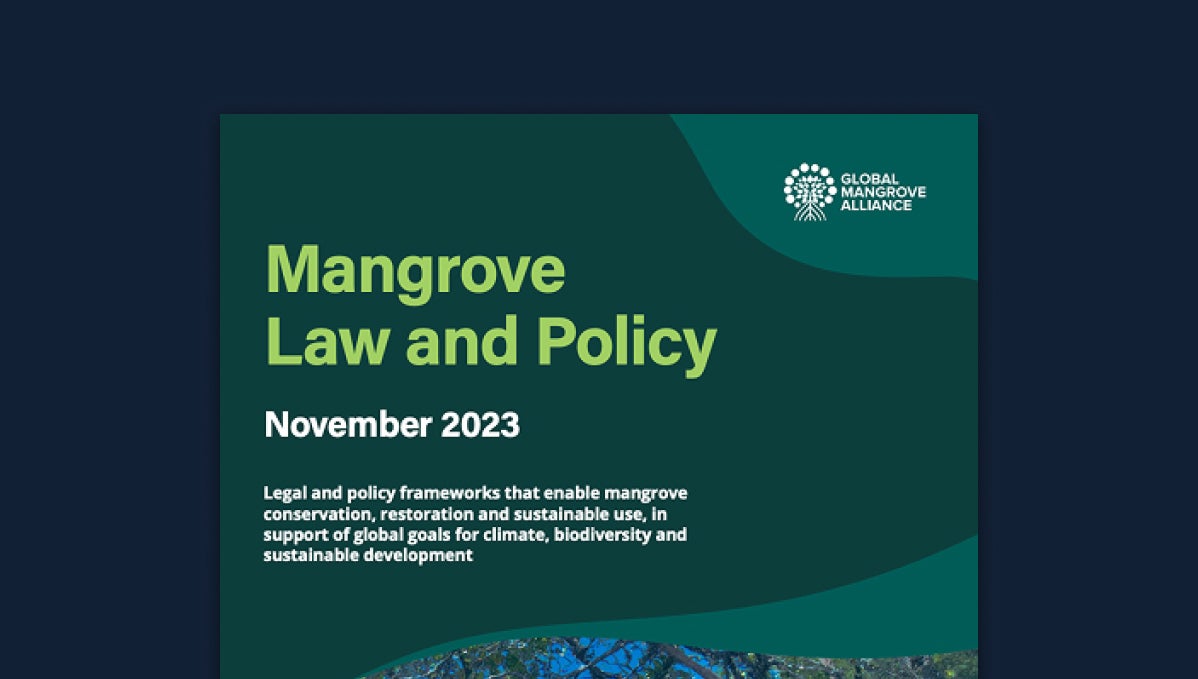 Mangrove Law and Policy - Georgetown Law - Center on National Security
